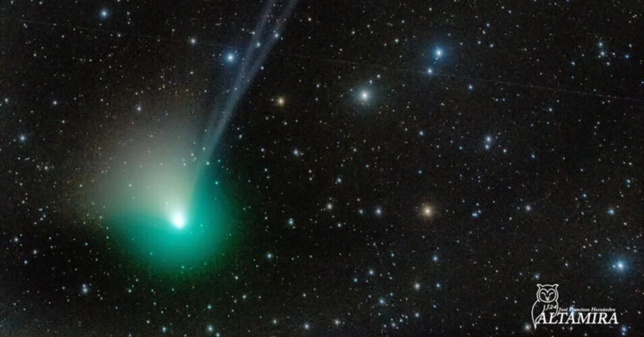 【Astronomy Picture of the Day】Tails of Comet ZTF, 2023.01.10｜岩澤康一