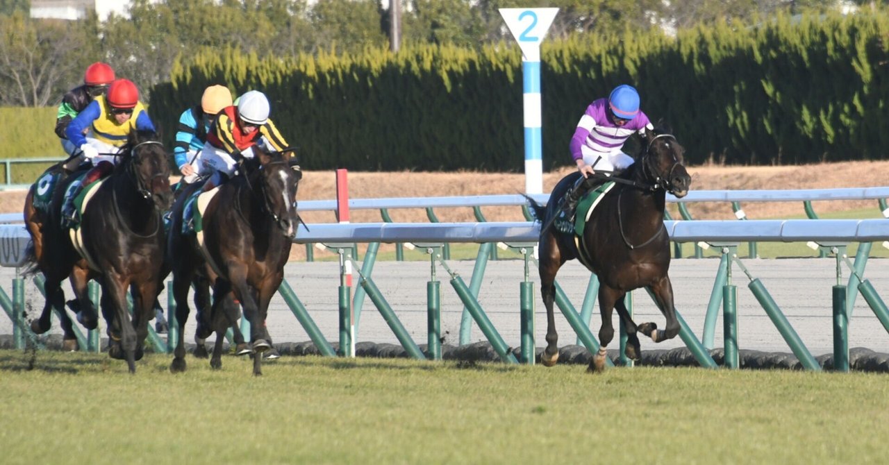 【京都金杯（G3）回顧】血統篇｜Haya