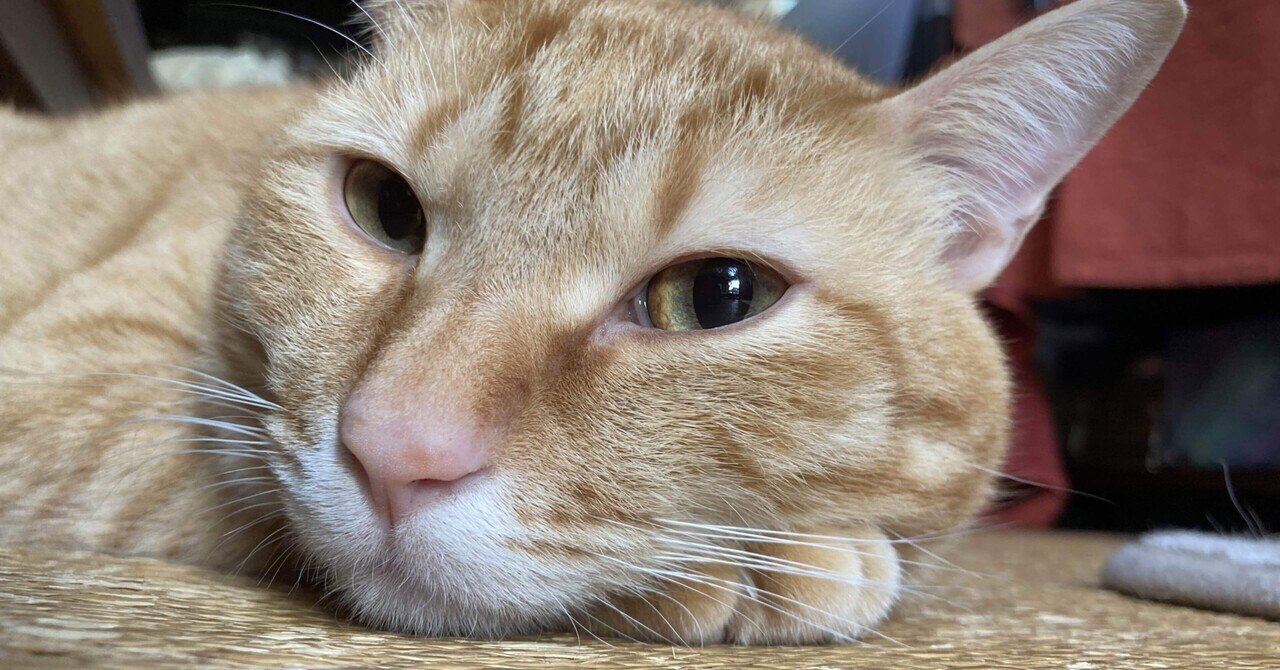 今年｜Hackai Watanabe