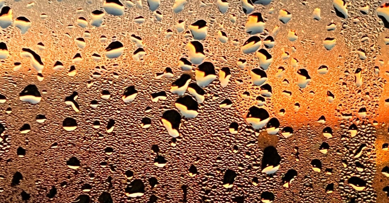 生活の観察-制作記録-6｜202号室 - TAMAOKI Jun