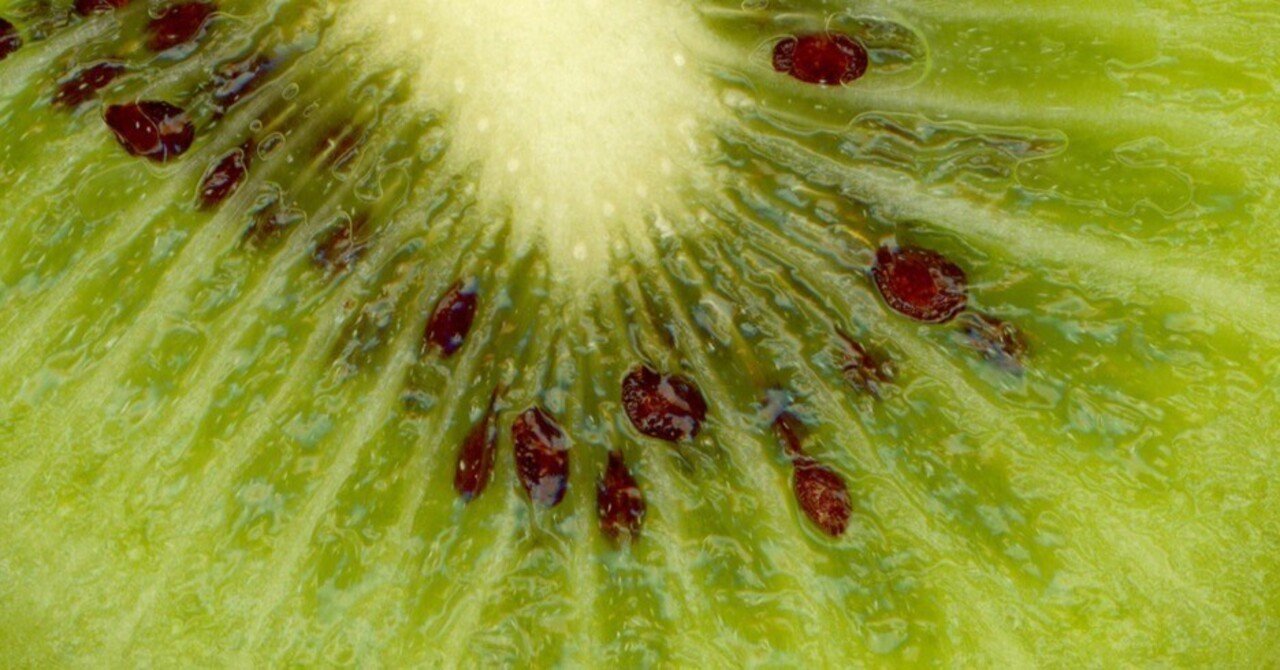 生活の観察-制作記録-7｜202号室 - TAMAOKI Jun｜note