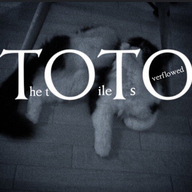 Syrup disorder｜TOTO｜note