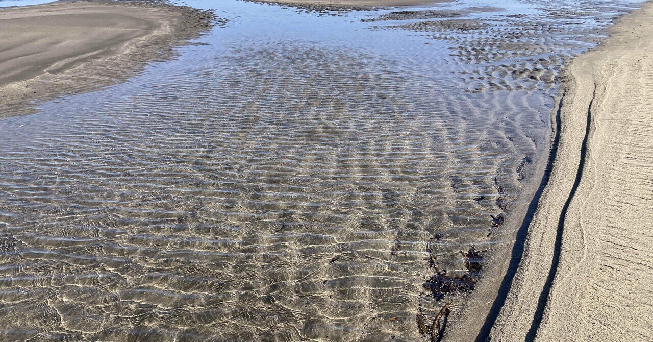 嫌いな物をよく知る｜simasima