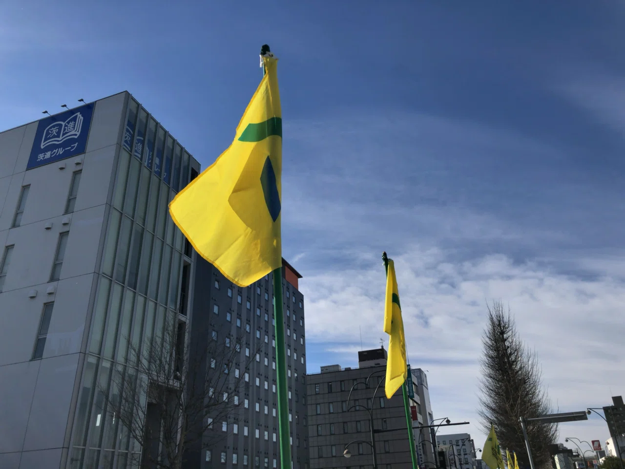 勝田全国マラソンの旗が昭和通りに立てられました｜team_ueno｜note