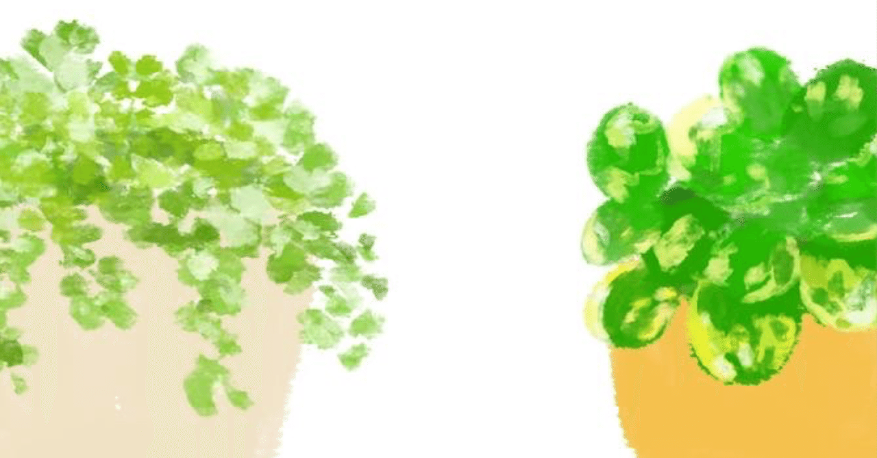 『活力剤』ー緑色のスポイト状の液体はなんなんぞ！？｜haco 🍀ガーデンプランナー🌱庭のある暮らし植物のある暮らし