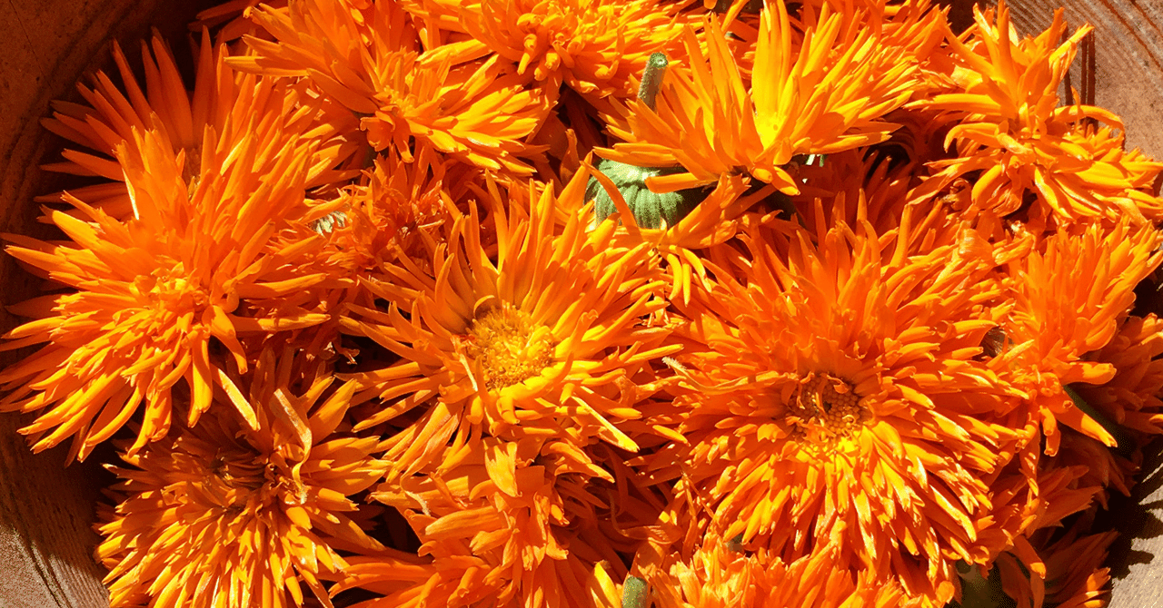 Webの運用とは？｜teaspooon｜Web・EC・HP・SNS等10年以上の経験者がサポート｜note