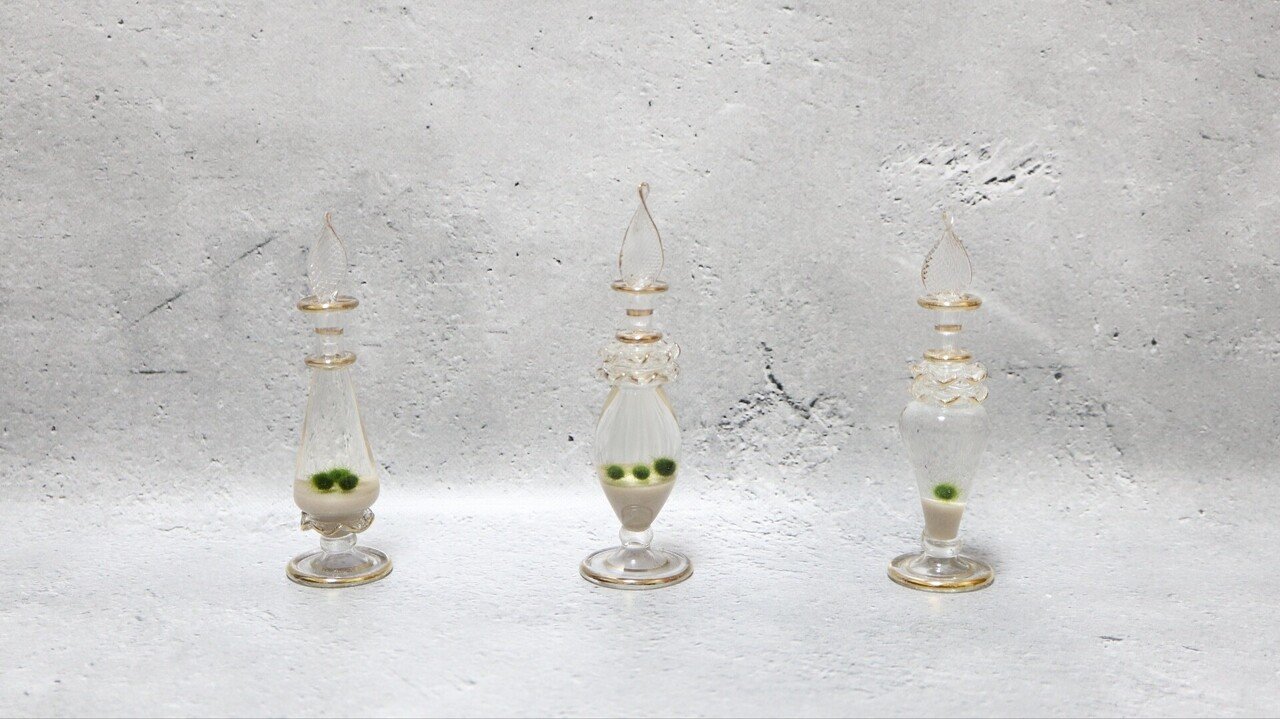 Marimo life｜サティ｜note