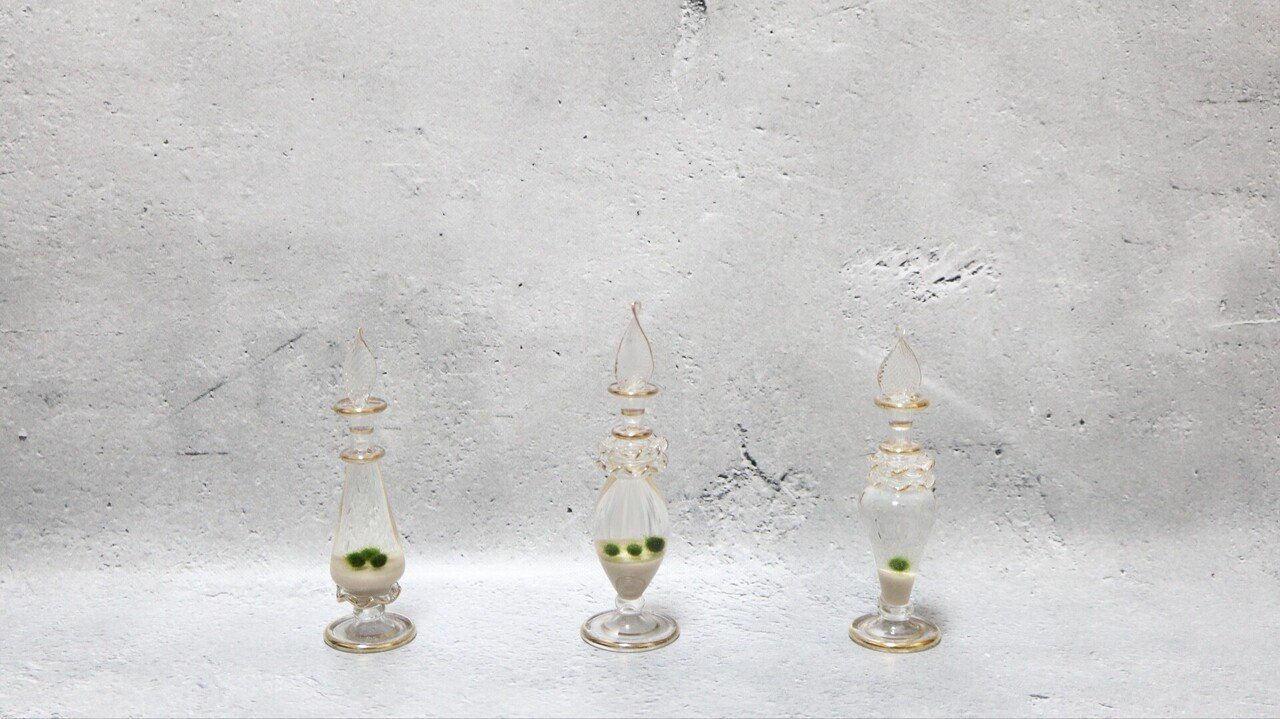 Marimo life｜サティ｜note