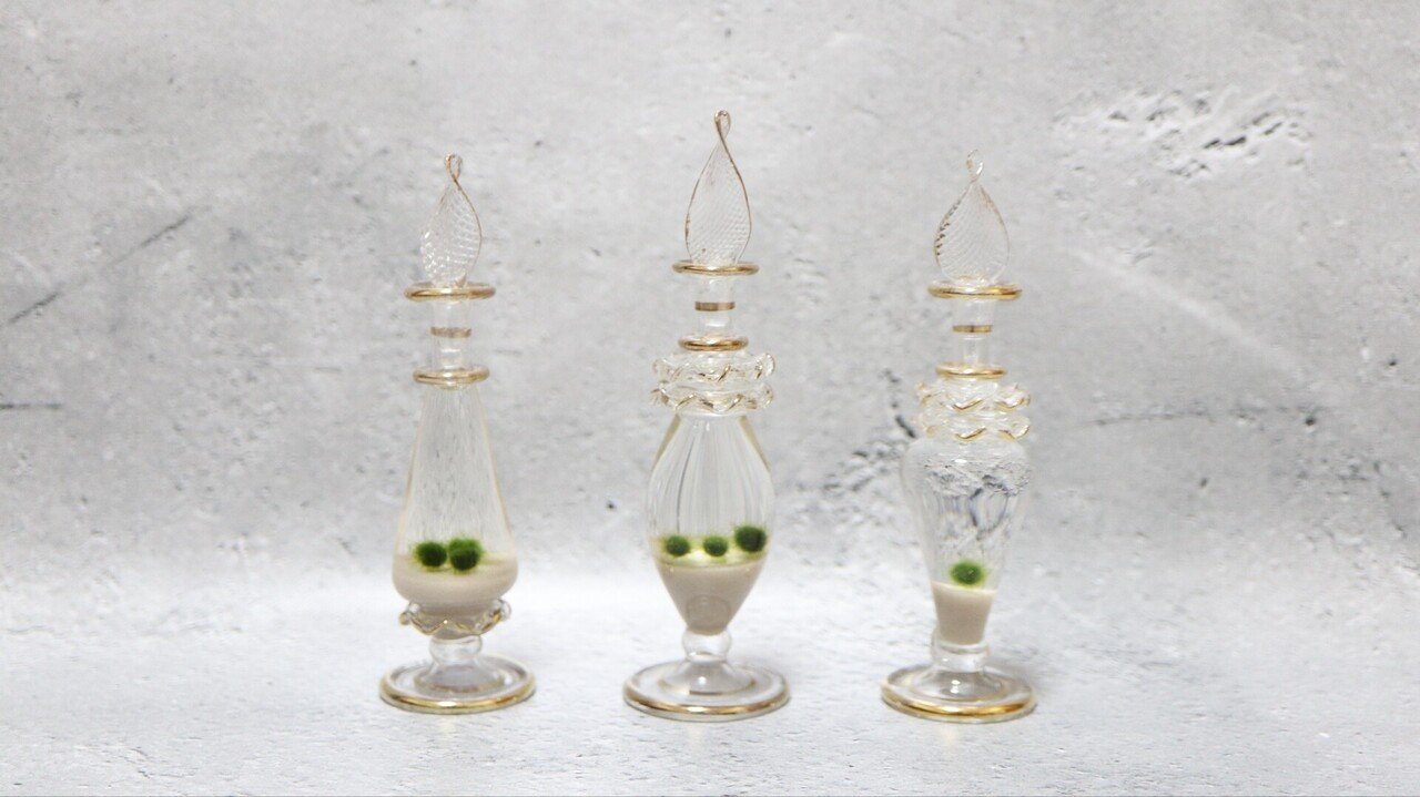 Marimo life｜サティ｜note