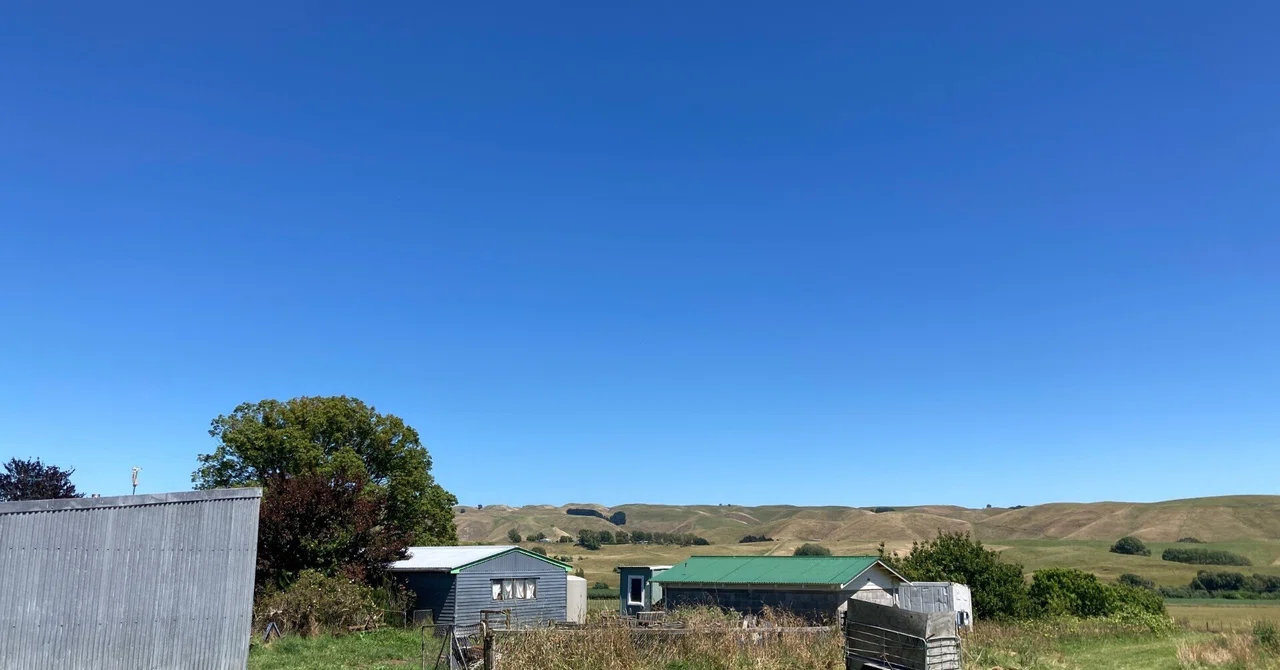 初めてのWWOOF in NZ 22日目｜Mebae