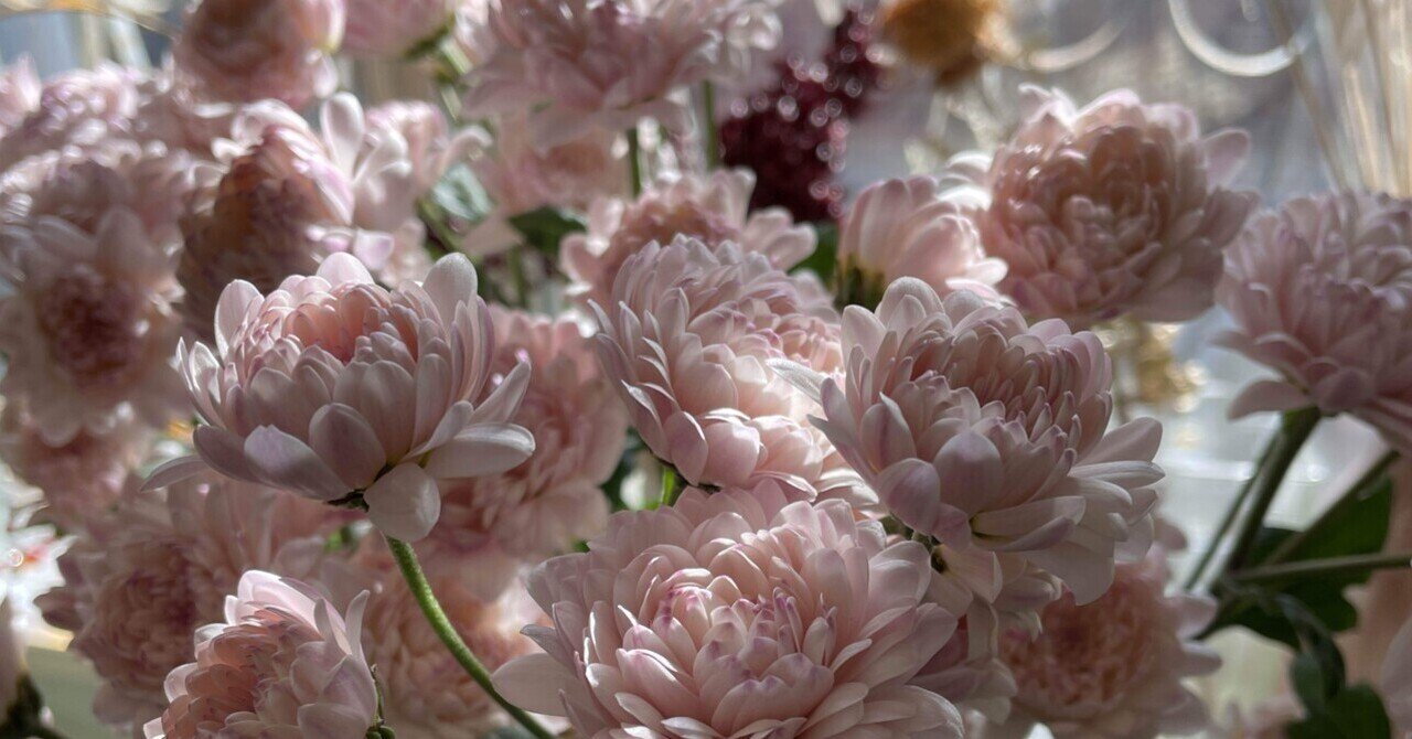 はながすきすぎる ナイスタイミング｜花屋KONOHA｜note