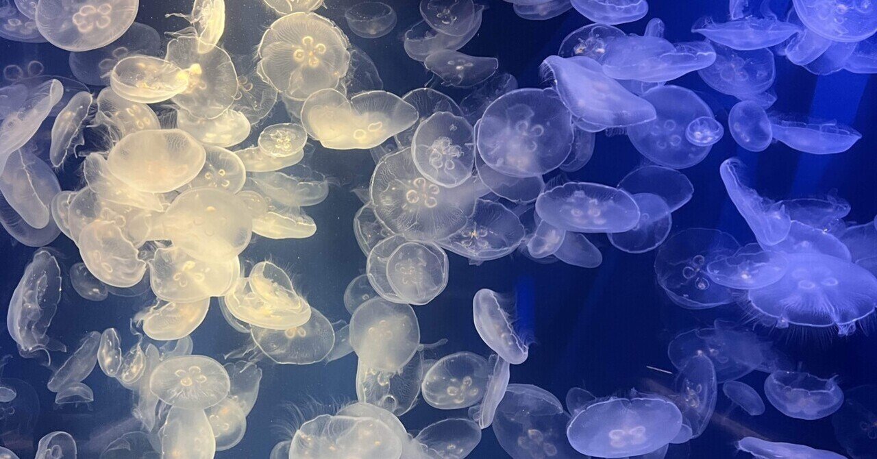 ストレングスファインダーの話｜Mariko｜note