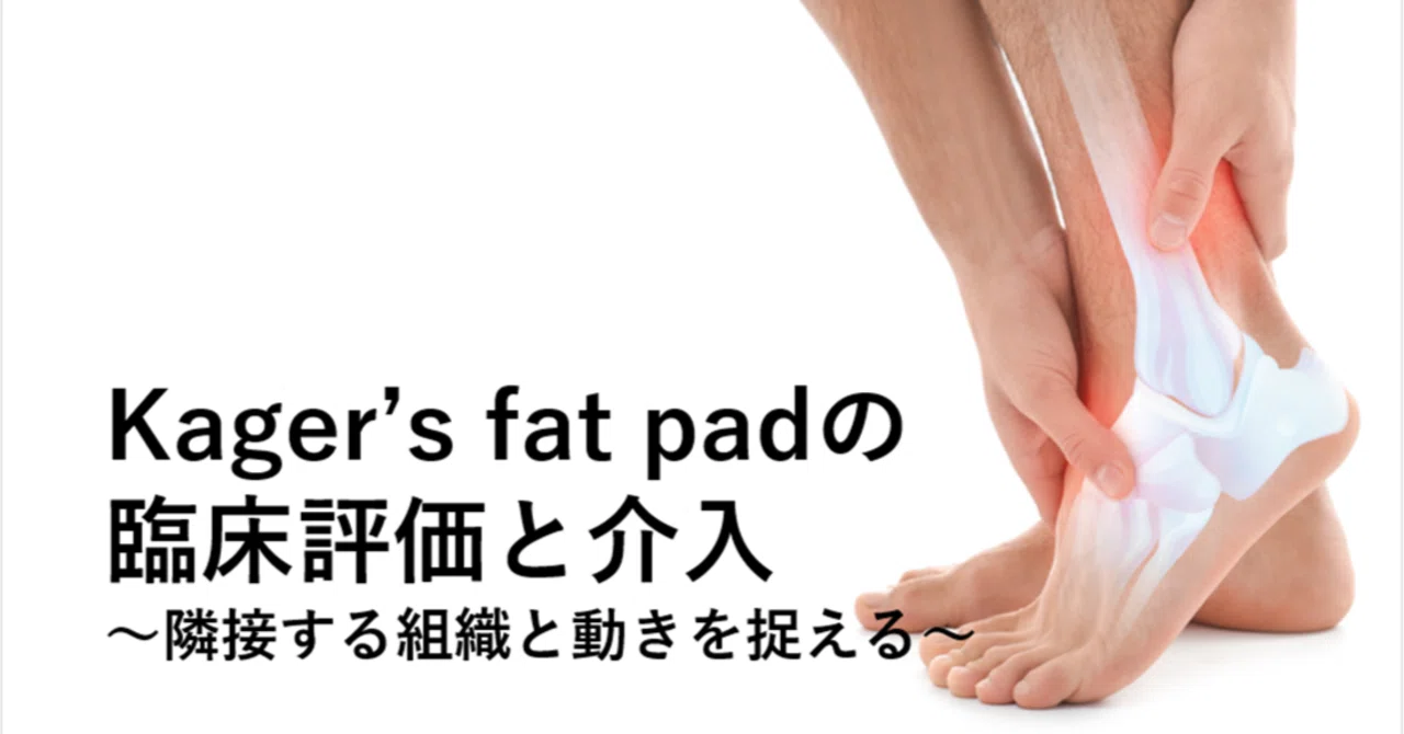 Kager’s fat padの臨床評価と介入 ～隣接する組織と動きを捉える～｜Y.K