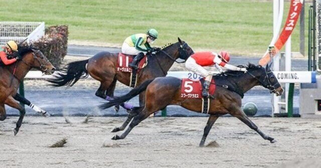 【2023 東海ステークス（G2）】日刊馬番コンピ指数分析予想篇｜Haya