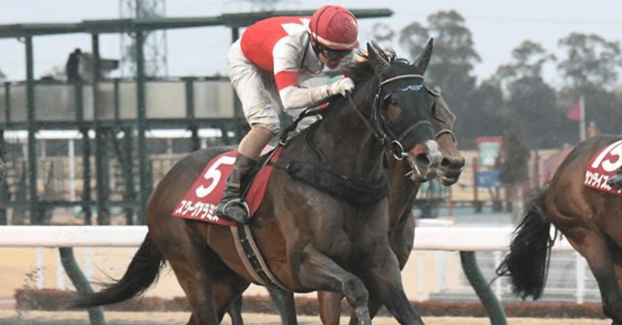 2023 東海S・AJCC｜山ちゃん｜note