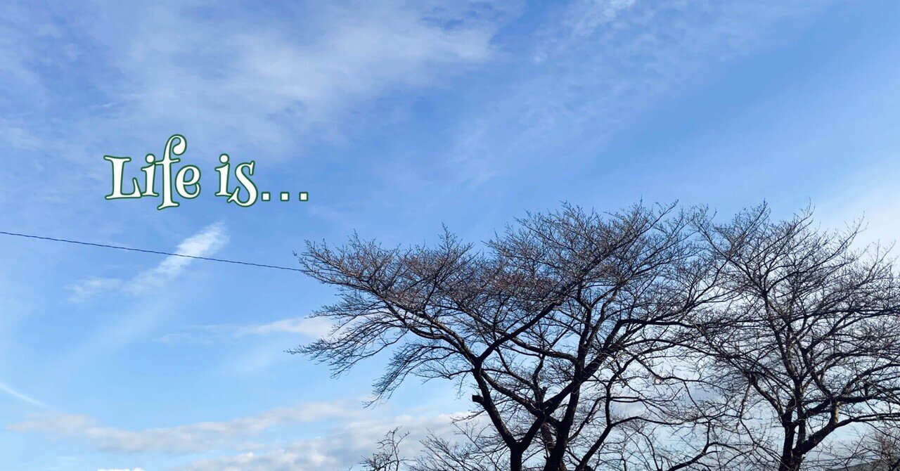 「続ける」と「辞めない」はちょっと違う｜Maico Tomokuni