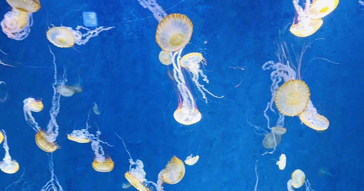 ワンオペ週末の過ごし方。｜Mayumi~ポジティブ直感型+3人ママ｜note