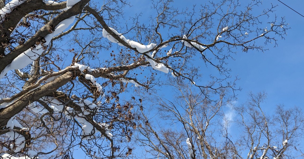 TypeScript 入門の記録（39）プロを目指す人のためのTypeScript入門（24）部分型関係｜jnkykn｜note