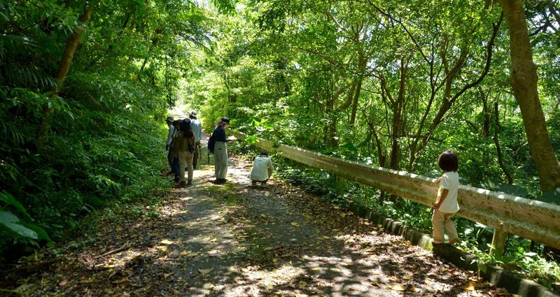 植物観察会・講演会｜林 将之 / Masayuki Hayashi｜note
