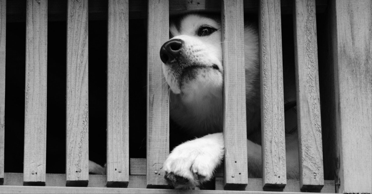 私の風景 2023.1.16｜ted_ozawa｜note