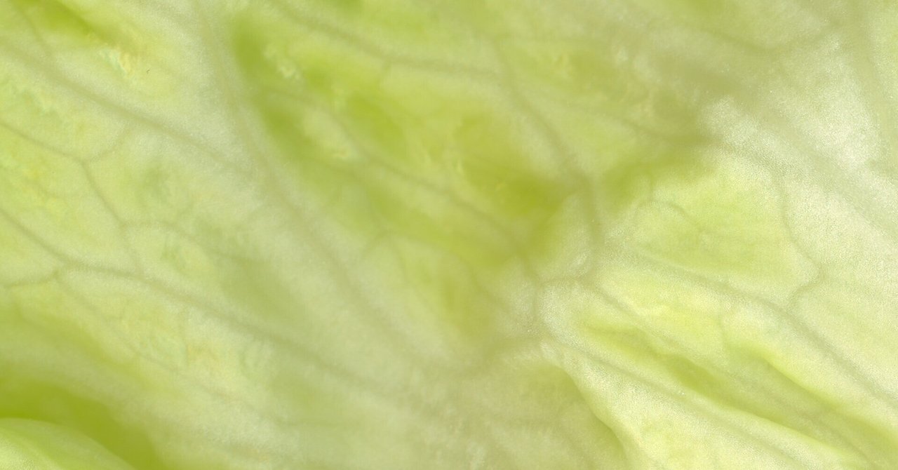 生活の観察-制作記録-18｜202号室 - TAMAOKI Jun