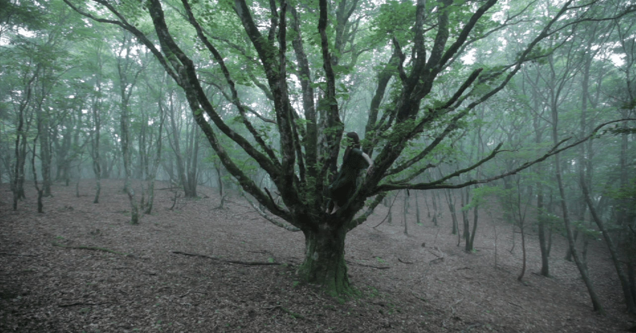 上映会と対談を終えて｜Chie_Matsui｜note