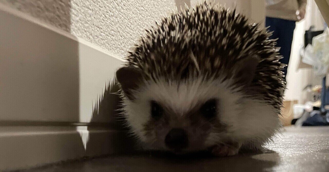 反応がくると続けたくなる｜karica｜note