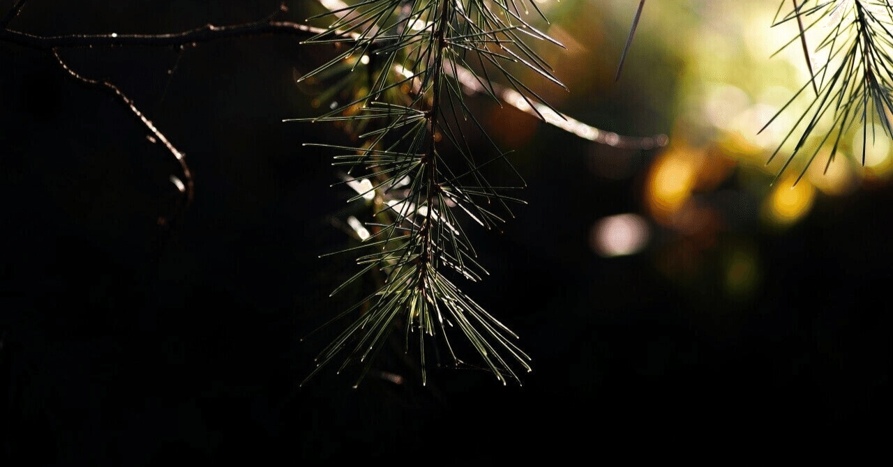 くれくればかりじゃ何も得られない。｜notet