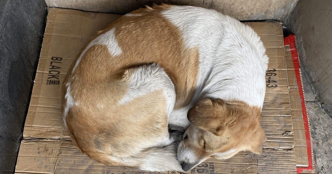 加速主義という考え方｜ooxoo