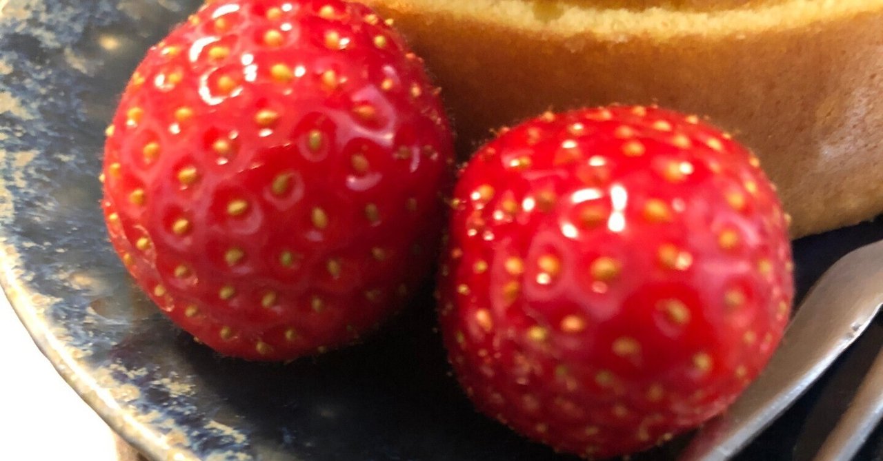 横並びのイメージで。｜志乃田たぐる[Taguru Shinoda]