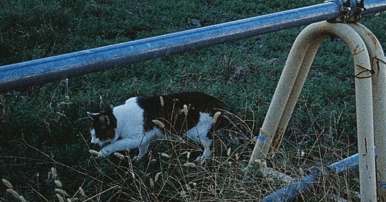 ようび｜@weasley｜note