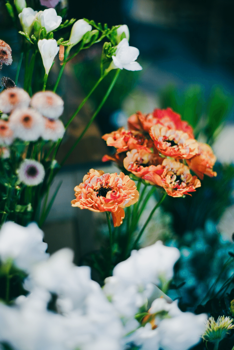 春よ早く来てよな件｜chie｜note