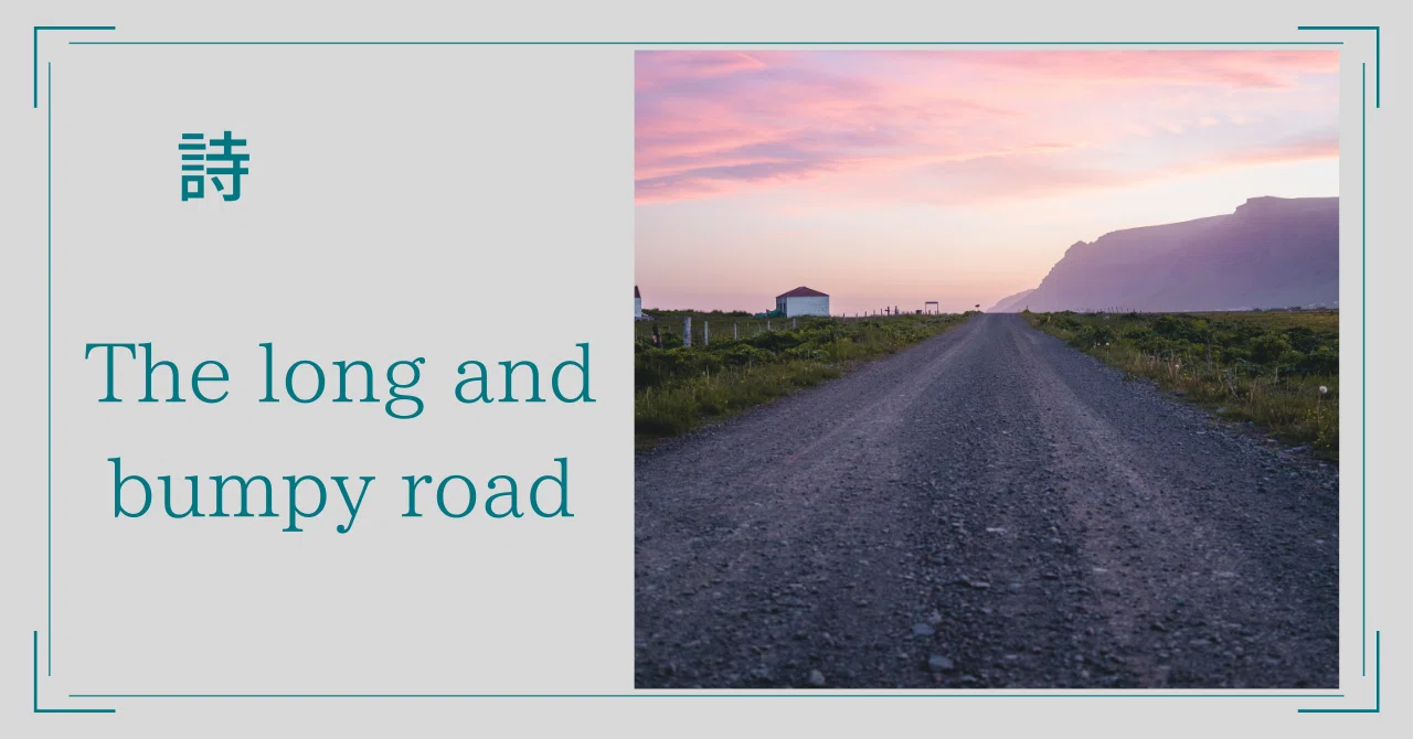 The long and bumpy road｜vantile