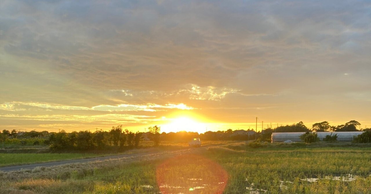 自分にとっての幸せ…｜Risa-mama｜note