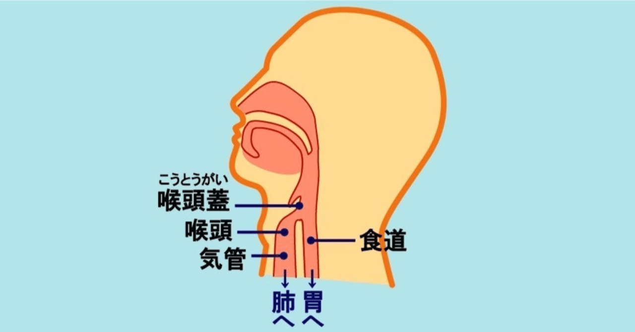 The true meaning of swallowing.｜Sai_Co.（MZDAO参加中）｜note