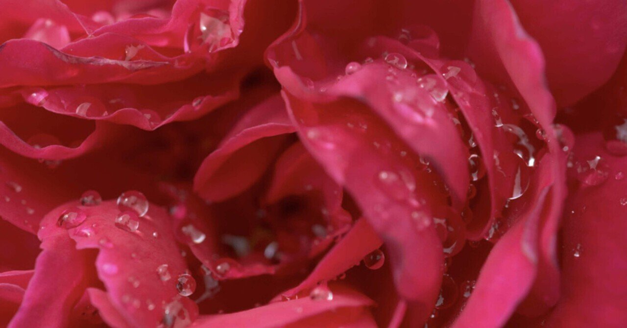 【連載小説】エルムの震え（9）｜H. Tsukada｜note