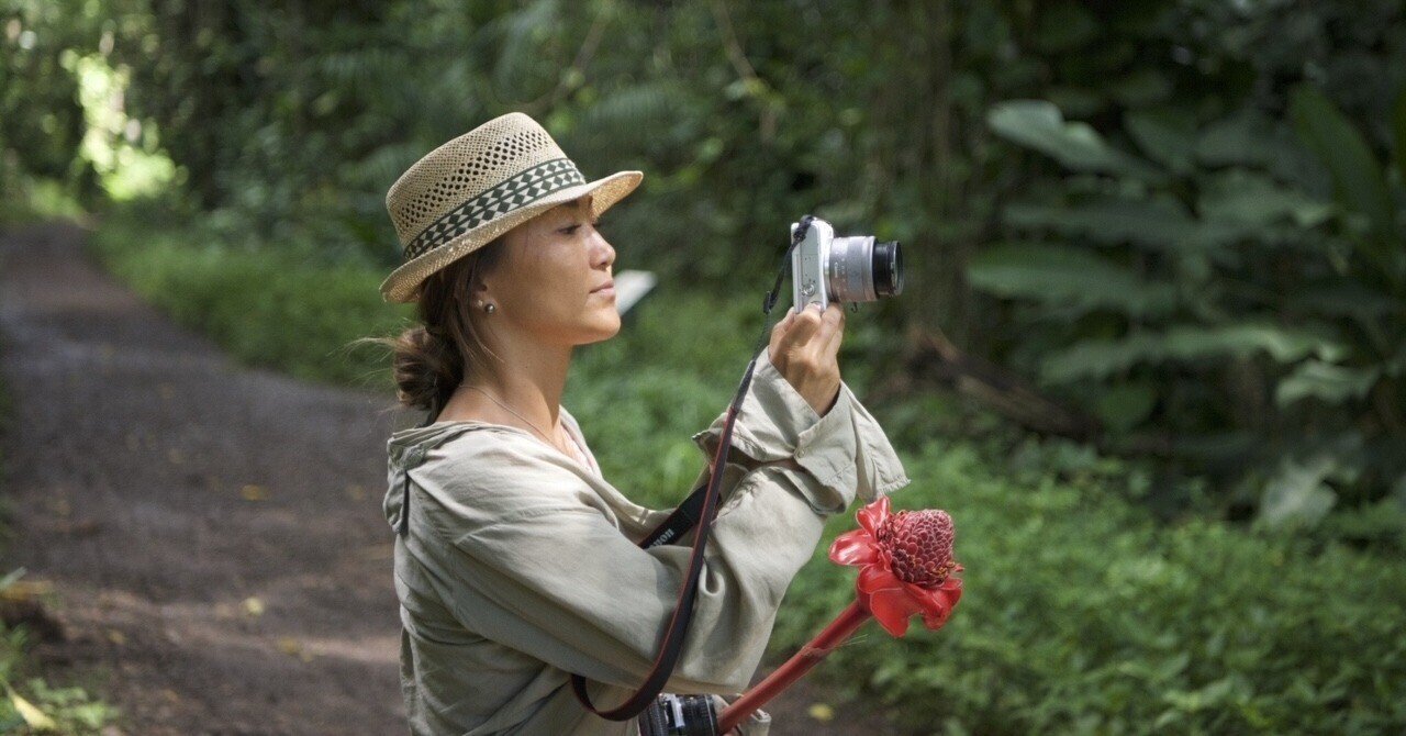 noteついに初投稿｜mari｜note