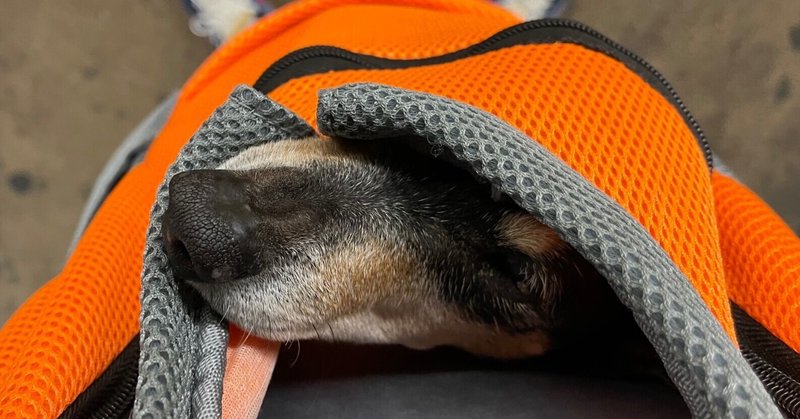 SENRI OE 大江千里｜note