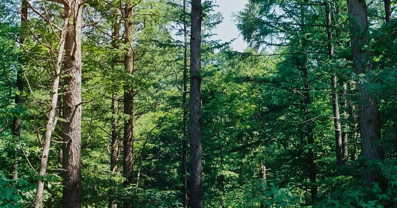 安齋好太郎 / Kotaro Anzai｜note