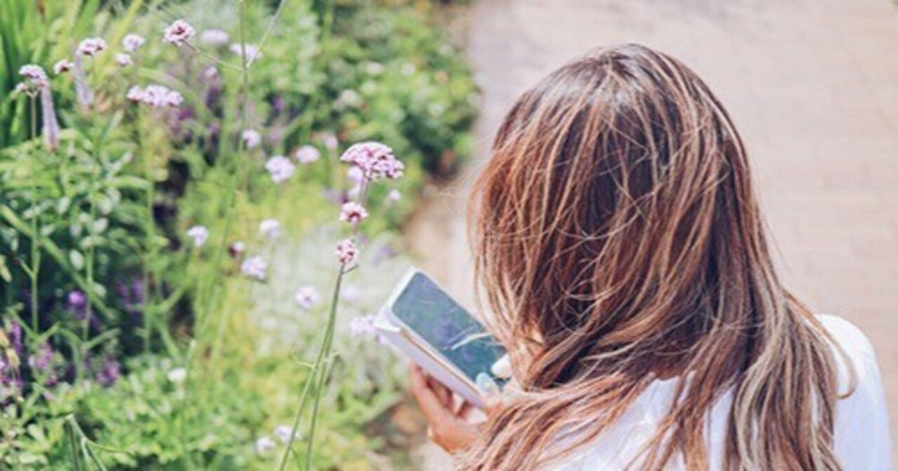 僕の彼女は（短編小説）（後編）｜🫧SALA🫧｜note