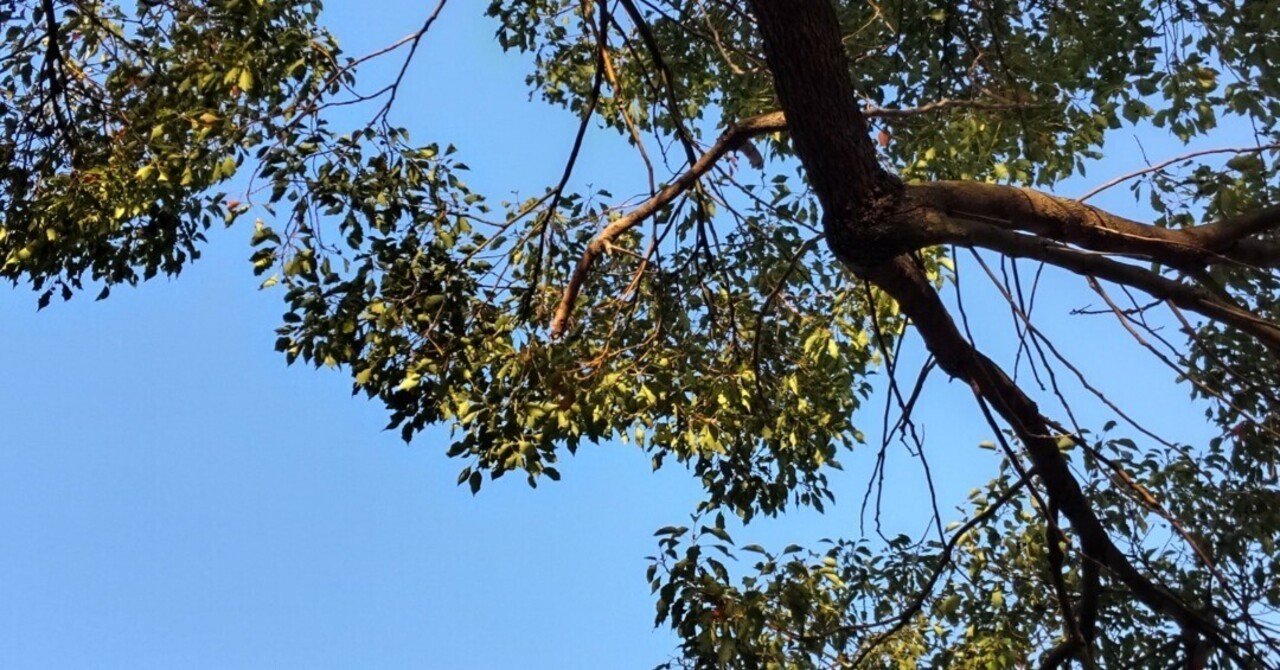 子供関係の役員｜yumi.ko