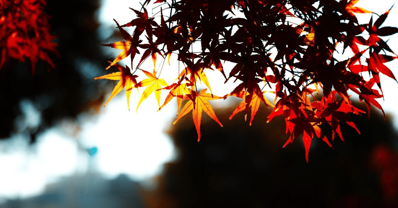 ”考える”ために必要な3つの要素～なぜ考えすぎは良くないのか～｜Ryosuke Matsusima｜note