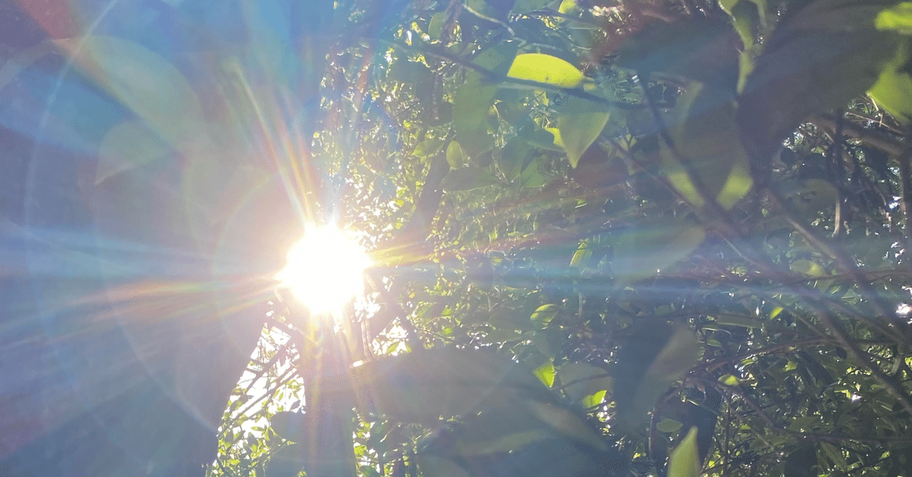 【今日の学び】手は、少しずらす｜Jun@SHElikes｜note