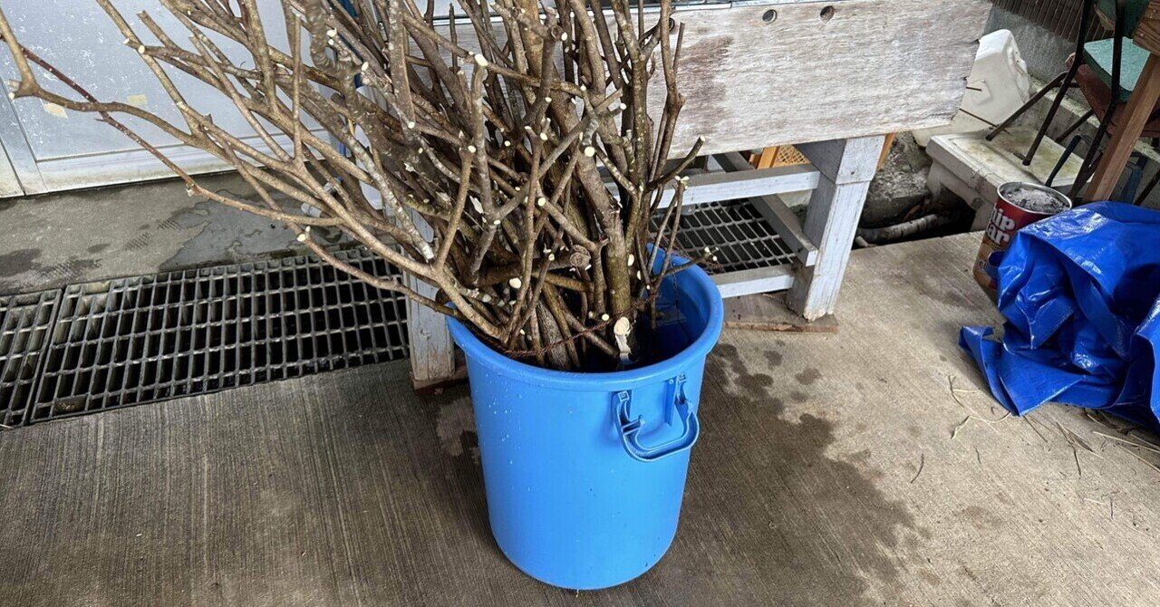 蒸す。。。｜Tact Masuda