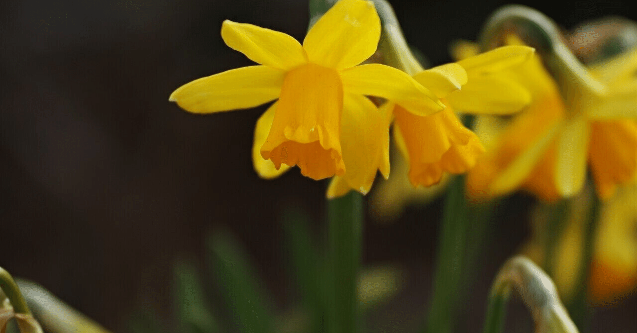 【venv】Ubuntuでpython仮想環境をつくる 2023-01-21｜blue06_2022