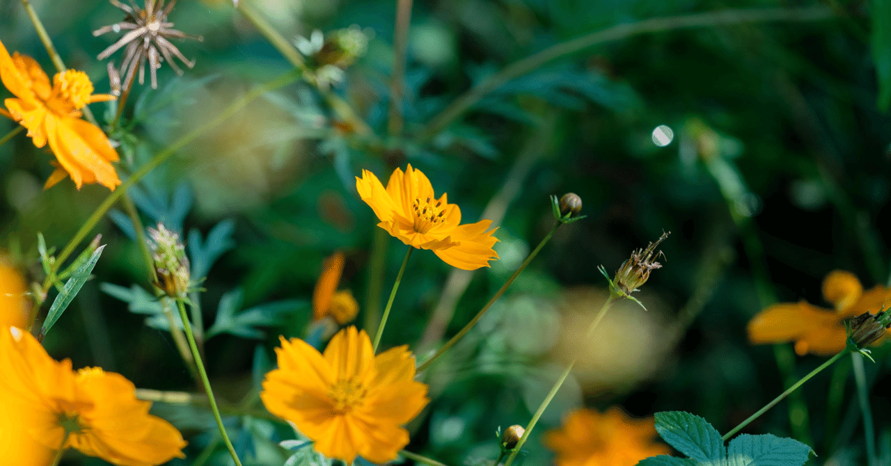 1月21日 #961｜unico｜note