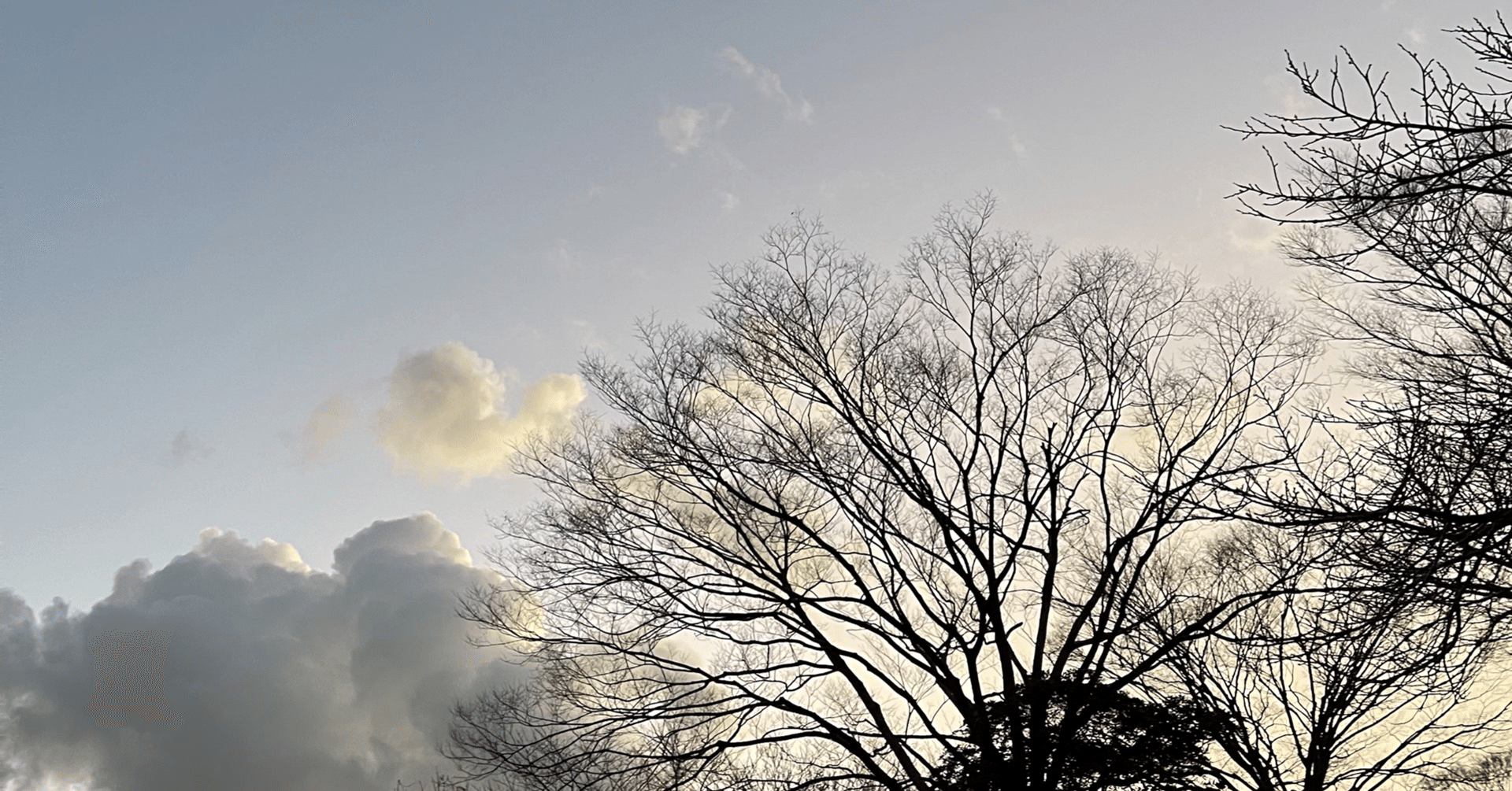 mmk life_SAKAI｜note