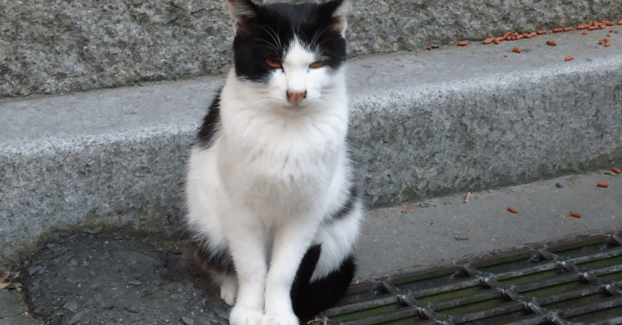 flutter 入門 その1｜blue06_2022｜note