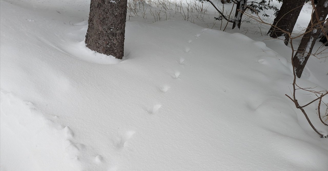 TypeScript 入門の記録（40）プロを目指す人のためのTypeScript入門（25）型引数を持つ型｜jnkykn