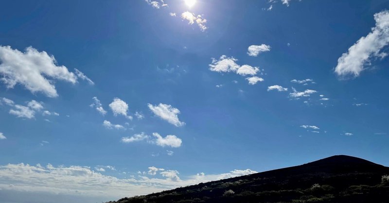 ayano_leizen 冷泉文野｜note